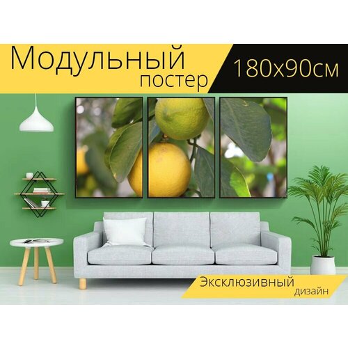 Модульный постер "Лимоны, желтый, фрукты" 180 x 90 см. для интерьера