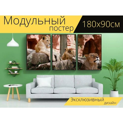 Модульный постер "Лев, семья, африке" 180 x 90 см. для интерьера