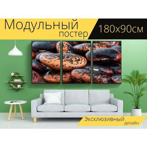 Модульный постер "Фасоль, продукты питания, чернить" 180 x 90 см. для интерьера