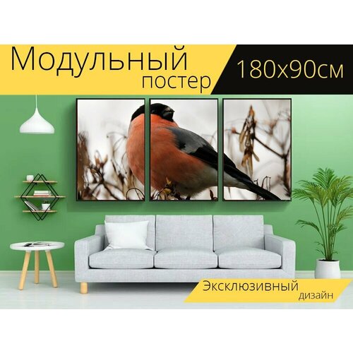 Модульный постер "Снегирь, птица, перья" 180 x 90 см. для интерьера