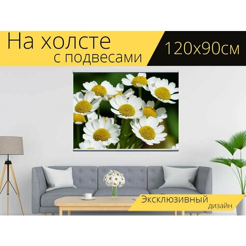 Картина на холсте "Ромашка, без запаха ромашки, цветок" с подвесами 120х90 см. для интерьера