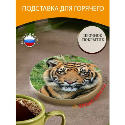 Подставка под горячее "Тигр, суматры, животное" 10 см. из блого мрамора