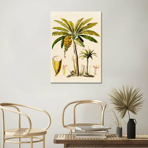 Картина/Картина на холсте/Картина на холсте для интерьера/ Картина на стену/ Картина в подарок для дома/ - Банановая пальма иллюстрация 60х80