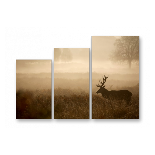Модульная картина на холсте | Diva Kartina | Природа. Животные. Олень в тумане | 70X49 см