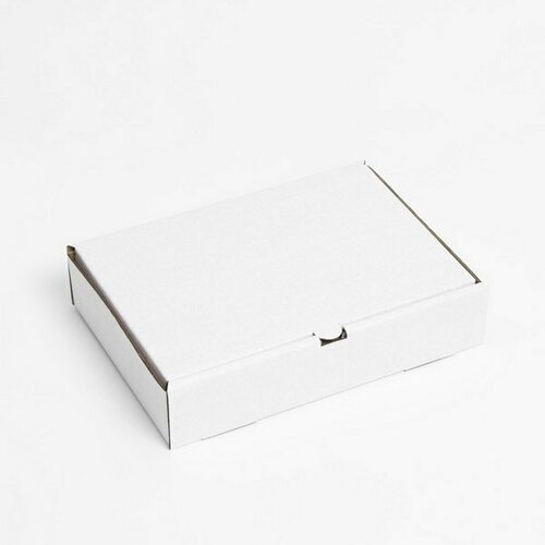 Коробка для пирога, белая, 29 x 20 x 6 см, 10 шт.