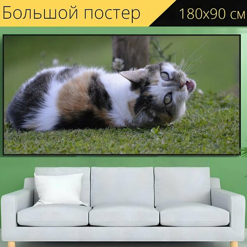 Большой постер "Кот, хильдегард, домашняя кошка" 180 x 90 см. для интерьера