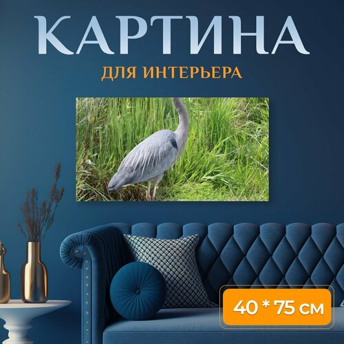 Картина на холсте "Голубая цапля, птица, дикая природа" на подрамнике 75х40 см. для интерьера