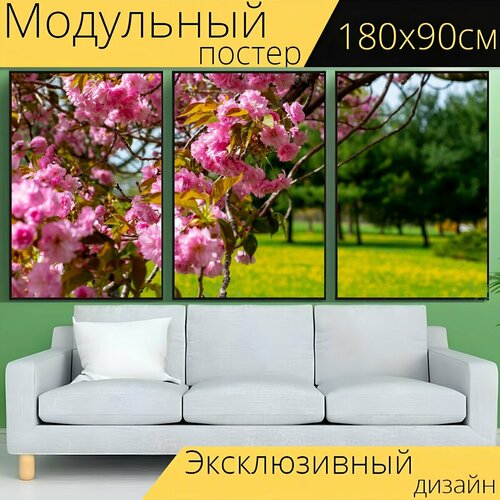 Модульный постер "Весна, цвести, розовый" 180 x 90 см. для интерьера