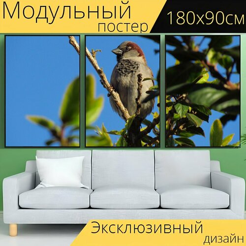 Модульный постер "Птица, воробей, природа" 180 x 90 см. для интерьера