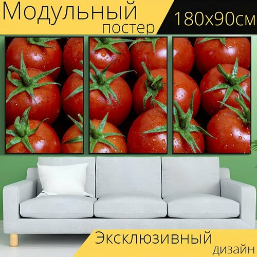 Модульный постер "Помидор, есть, овощи" 180 x 90 см. для интерьера