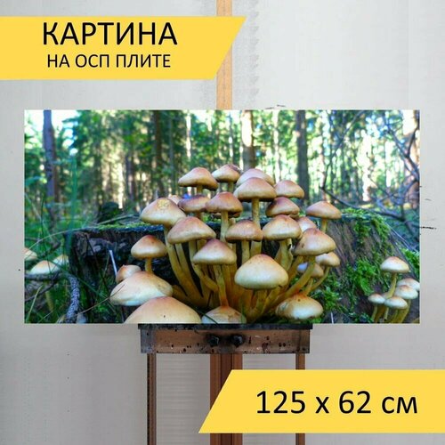 Картина на ОСП 125х62 см. "Лес, падение, грибы" горизонтальная, для интерьера, с креплениями
