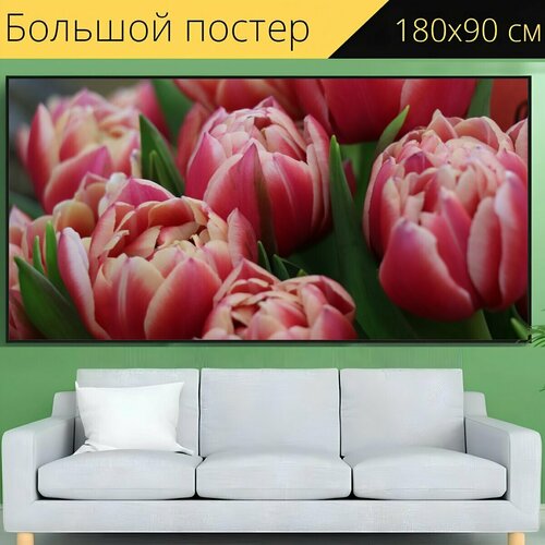 Большой постер "Тюльпаны, букет, весна" 180 x 90 см. для интерьера