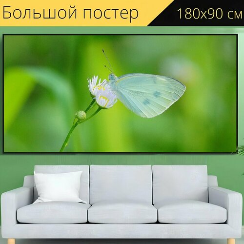 Большой постер "Бабочка, цветок, насекомое" 180 x 90 см. для интерьера