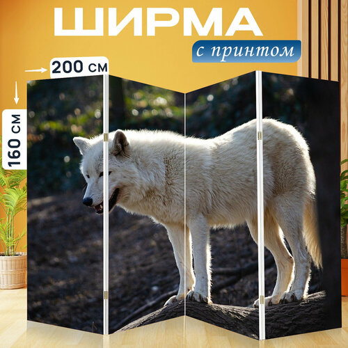 Ширма перегородка с принтом "Волк, хищник, изегрим" на холсте - 200x160 см. для зонирования, раскладная