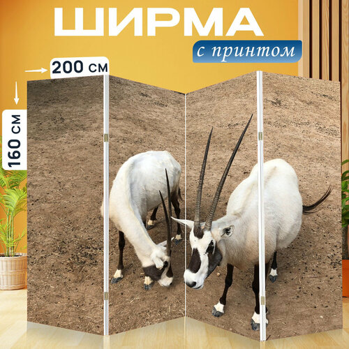 Ширма перегородка с принтом "Животные, козы, рожки" на холсте - 200x160 см. для зонирования, раскладная