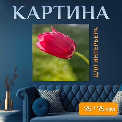 Картина на холсте "Тюльпаны, красный, полупрозрачный" на подрамнике 75х75 см. для интерьера