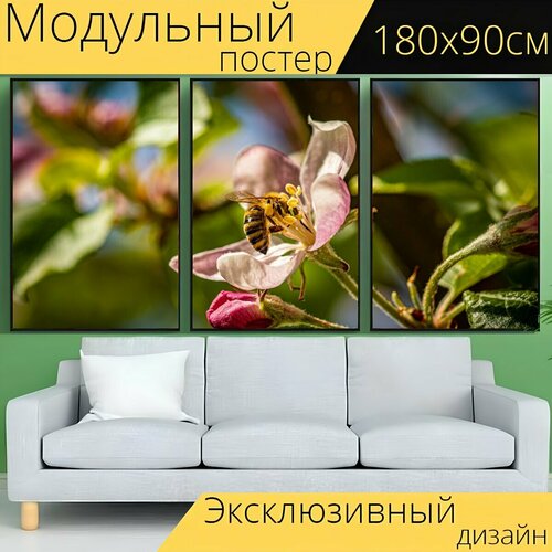 Модульный постер "Яблоневый цвет, цветок, пчела" 180 x 90 см. для интерьера