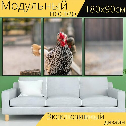Модульный постер "Курица, вайандоте, куры" 180 x 90 см. для интерьера
