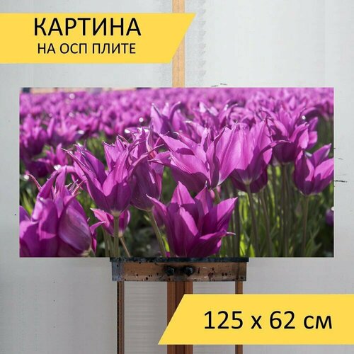 Картина на ОСП 125х62 см. "Тюльпаны, тюльпан, весна" горизонтальная, для интерьера, с креплениями