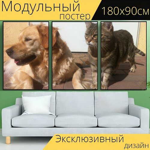 Модульный постер "Собака, кошка, животные" 180 x 90 см. для интерьера