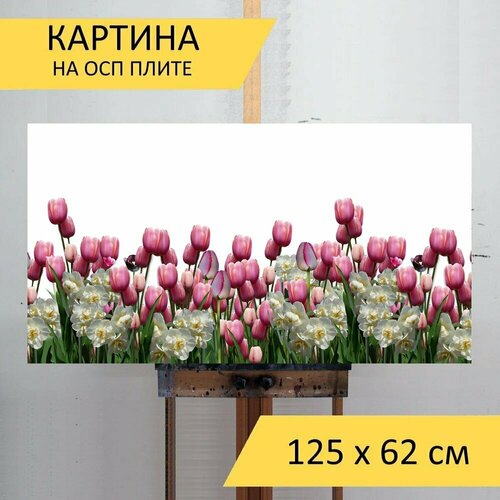 Картина на ОСП 125х62 см. "Тюльпан, нарцисс, весна" горизонтальная, для интерьера, с креплениями