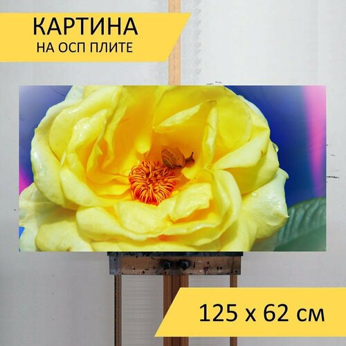 Картина на ОСП 125х62 см. "Роуз, желтый, цветок" горизонтальная, для интерьера, с креплениями