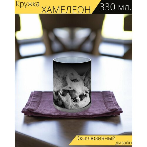 Кружка хамелеон с принтом "Череп, старый, человеческий череп" 330 мл.