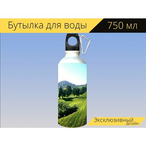 Бутылка фляга для воды "Чайная плантация, чайная ферма, чай" 750 мл. с карабином и принтом