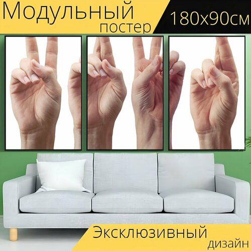Модульный постер "Руки, пальцы, жест" 180 x 90 см. для интерьера