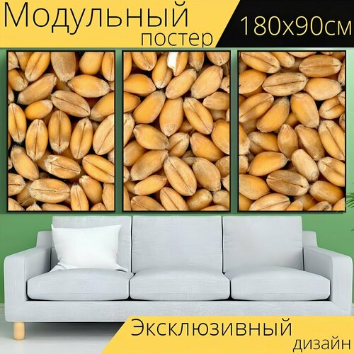 Модульный постер "Пшеница, зерна, еда" 180 x 90 см. для интерьера