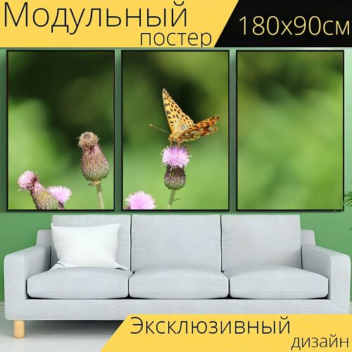 Модульный постер "Крыло, бабочка, насекомое" 180 x 90 см. для интерьера