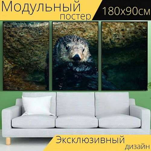 Модульный постер "Калана, морской, млекопитающее" 180 x 90 см. для интерьера