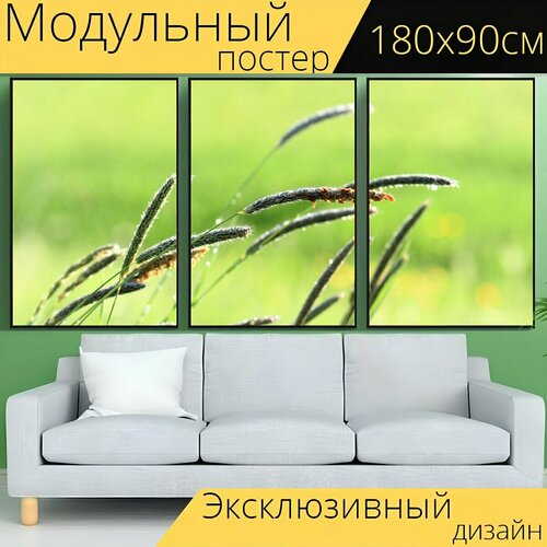 Модульный постер "Трава, луг, капля дождя" 180 x 90 см. для интерьера