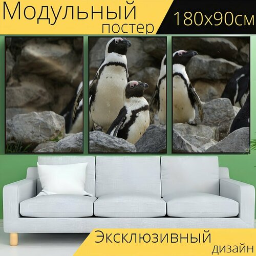 Модульный постер "Пингвин, зоопарк, животное" 180 x 90 см. для интерьера