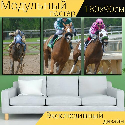 Модульный постер "Лошадь, скачки, гонка" 180 x 90 см. для интерьера