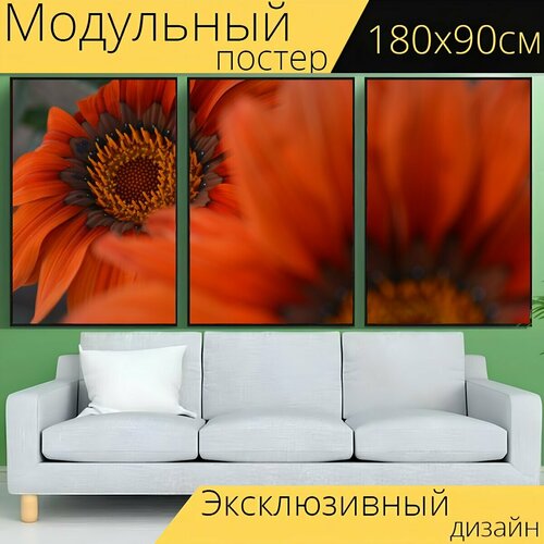 Модульный постер "Апельсин, весна, сад" 180 x 90 см. для интерьера