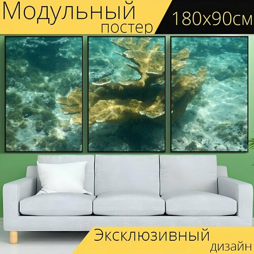 Модульный постер "Подводный, коралл, океан" 180 x 90 см. для интерьера