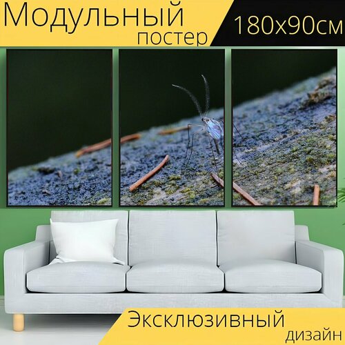 Модульный постер "Лесная природа, комар, закрывать" 180 x 90 см. для интерьера