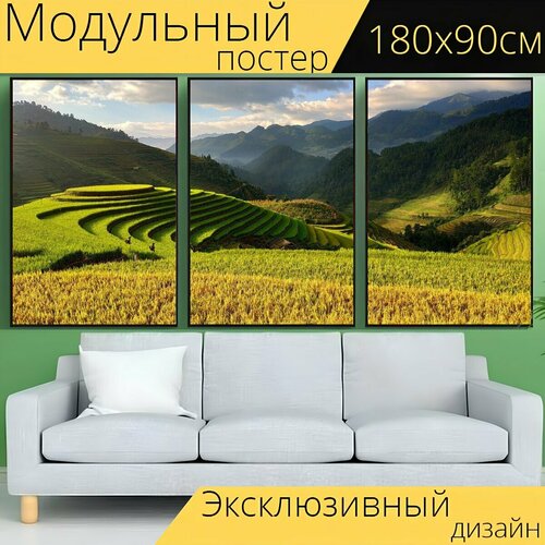 Модульный постер "Сельское хозяйство, вьетнам, террасы" 180 x 90 см. для интерьера
