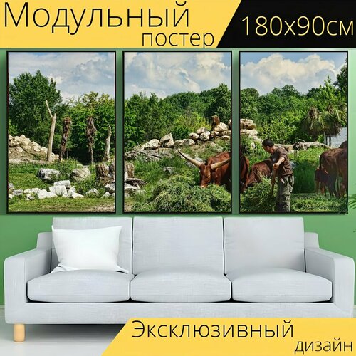 Модульный постер "Животные, бычий, кормление" 180 x 90 см. для интерьера