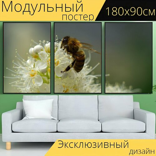 Модульный постер "Пчела, цветок, цвести" 180 x 90 см. для интерьера