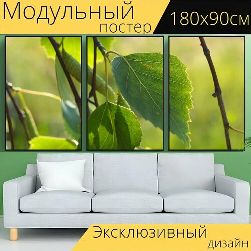 Модульный постер "Природа, растения, лист" 180 x 90 см. для интерьера