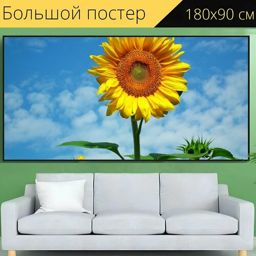 Большой постер "Цветы, подсолнечник, летом" 180 x 90 см. для интерьера