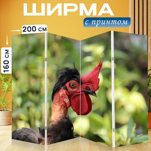 Ширма перегородка с принтом "Керала, курица, мужчина" на холсте - 200x160 см. для зонирования, раскладная