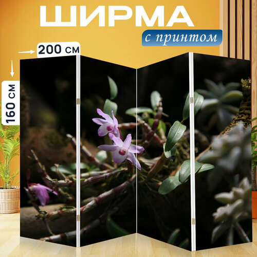 Ширма перегородка с принтом "Я, орхидея, цветок" на холсте - 200x160 см. для зонирования, раскладная
