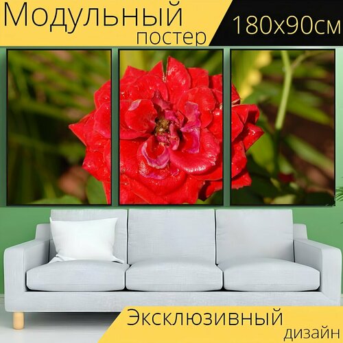 Модульный постер "Красная роза, маленький цветок, флора" 180 x 90 см. для интерьера
