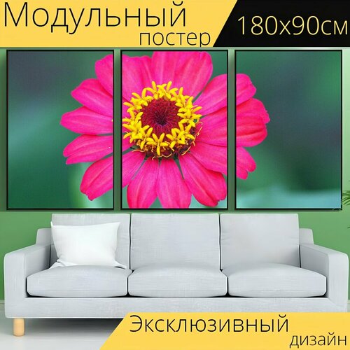 Модульный постер "Природные, завод, цветы" 180 x 90 см. для интерьера