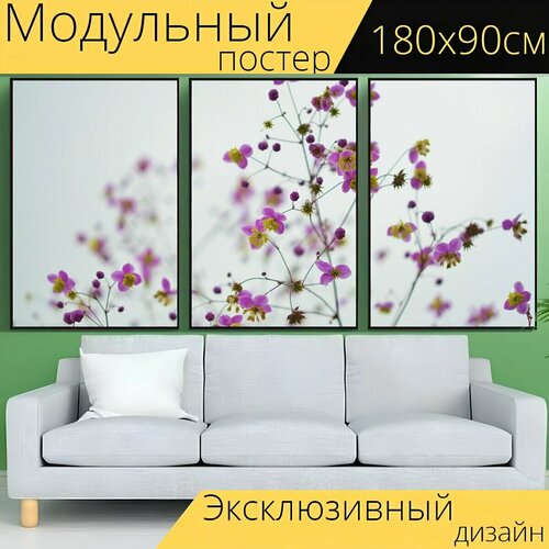 Модульный постер "Цветы, фиолетовые цветы, блум" 180 x 90 см. для интерьера