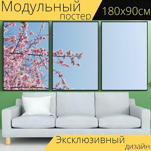 Модульный постер "Сакура, небо, весна" 180 x 90 см. для интерьера