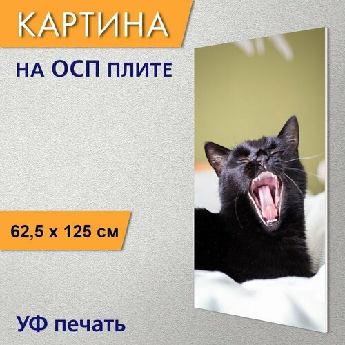 Вертикальная картина на ОСП "Кошка, черный кот, зевать" 62x125 см. для интерьериа